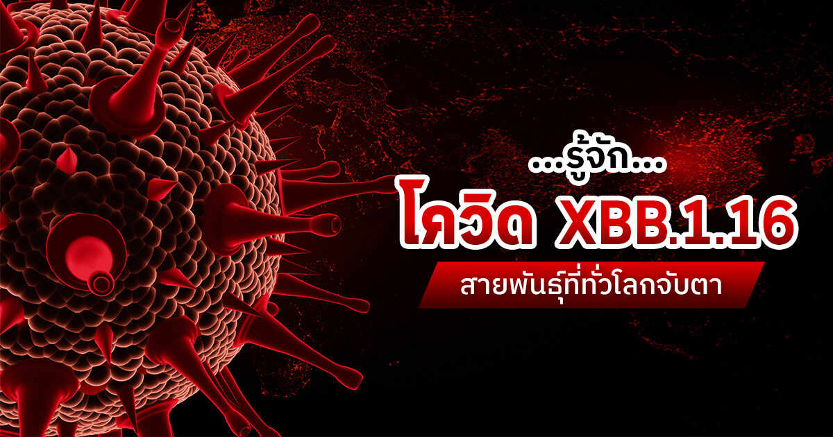 โควิด XBB.1.16 อาการเป็นอย่างไร ใช่โอมิครอนสายพันธุ์ใหม่จริงไหม