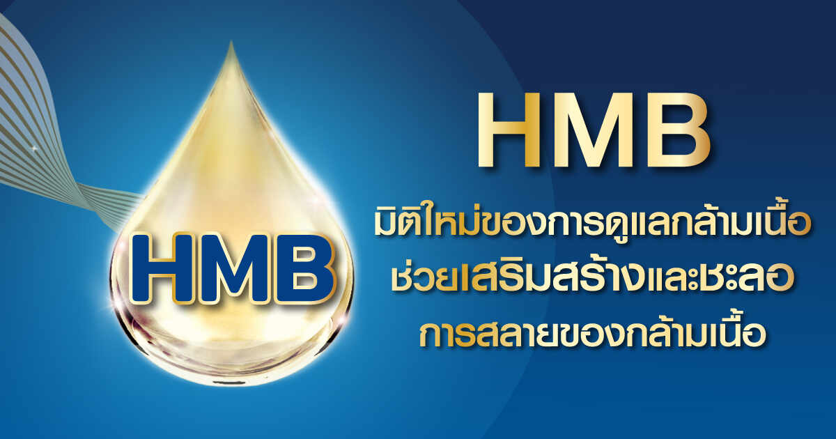 HMB มิติใหม่ของการดูแลกล้ามเนื้อ ไม่ใช่แค่เสริมสร้าง แต่ยังช่วยชะลอการ ...