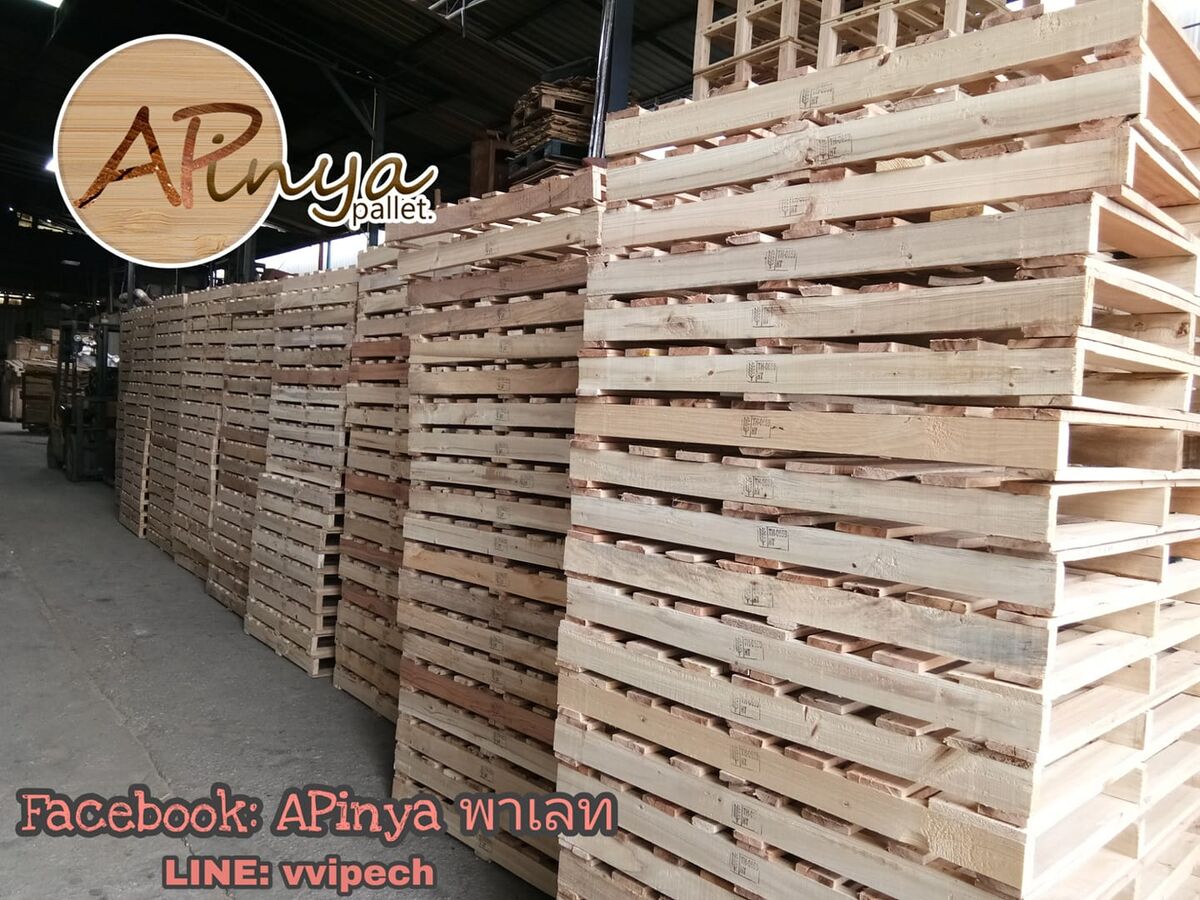 APinya พาเลท